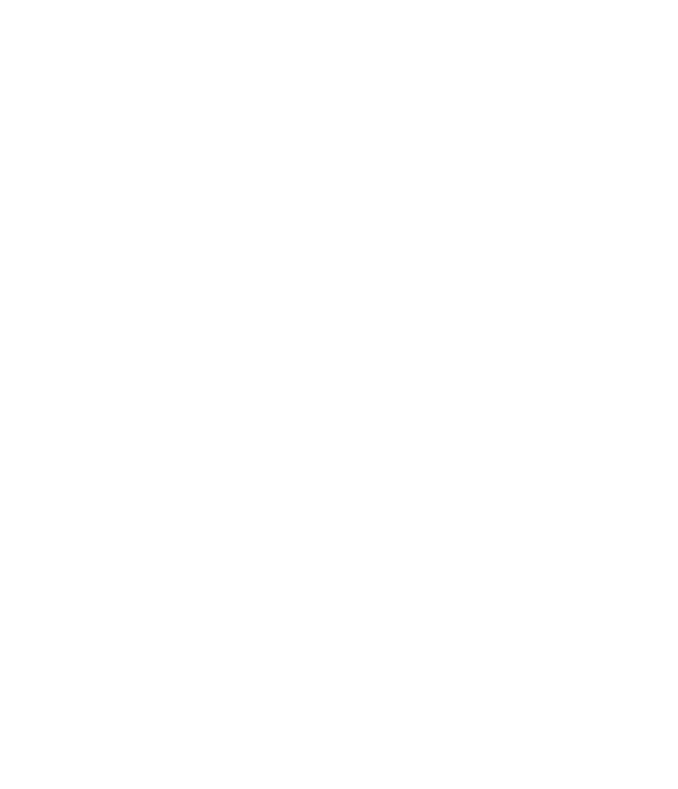 presentation